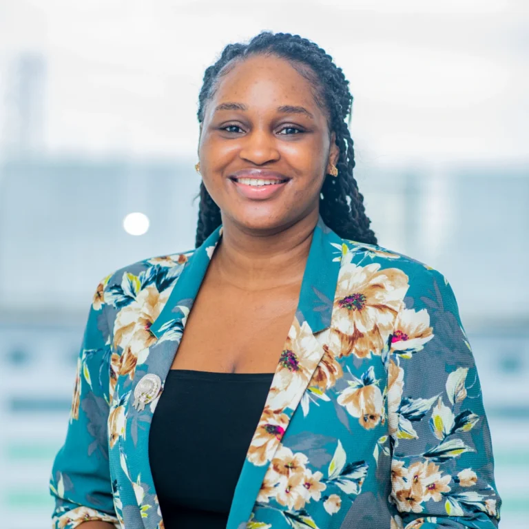 Amarachi - Investment Management in Africa | Private Equity, Asset ...